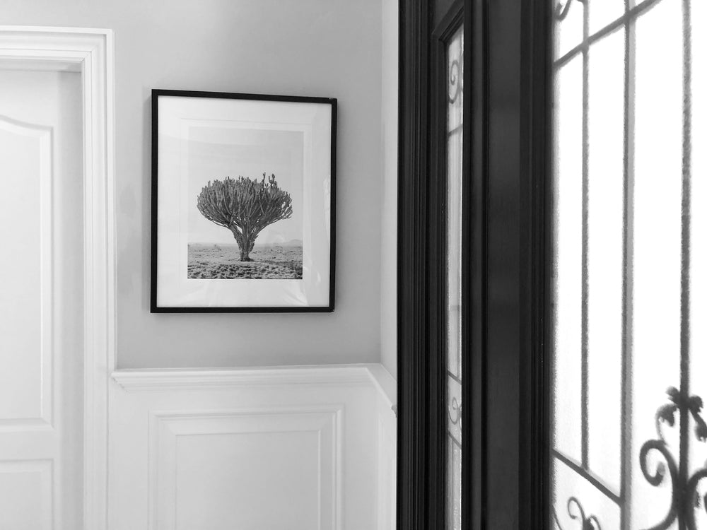 October Sanctuary Render Loyalty