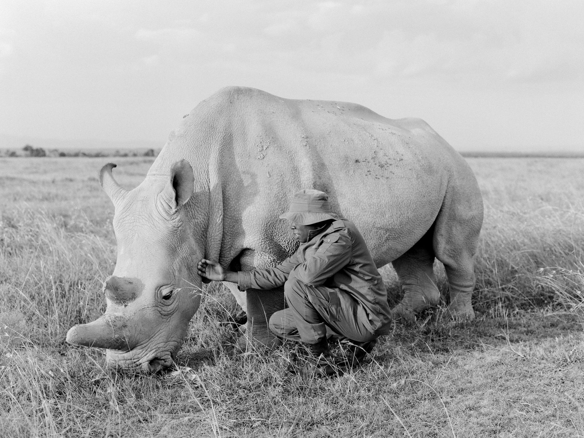 Devotion Render Loyalty