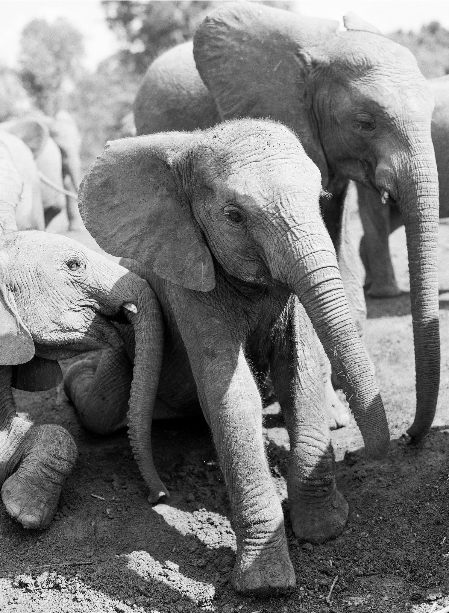 Dust Play – Render Loyalty